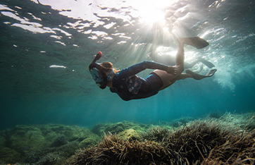 Azadea Brands | Brands Collections Online | Azadea kuwait